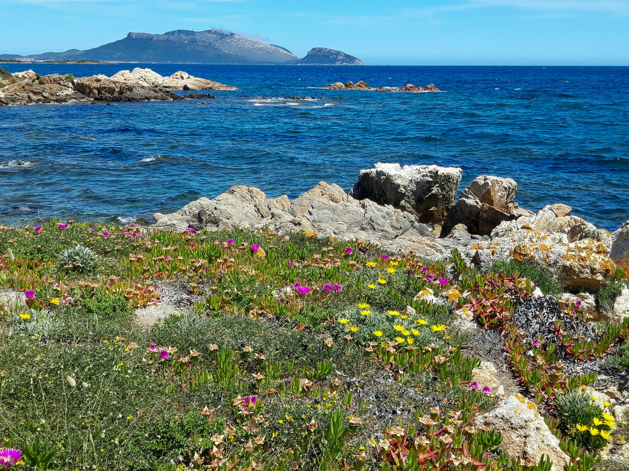 Villa aan zee met uitzicht op Tavolara in Olbia