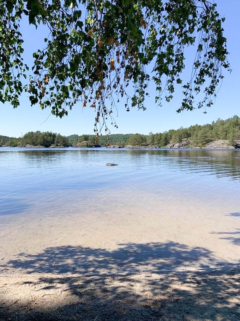 Hytter Sanderstølen - Alt inkludert i én pris